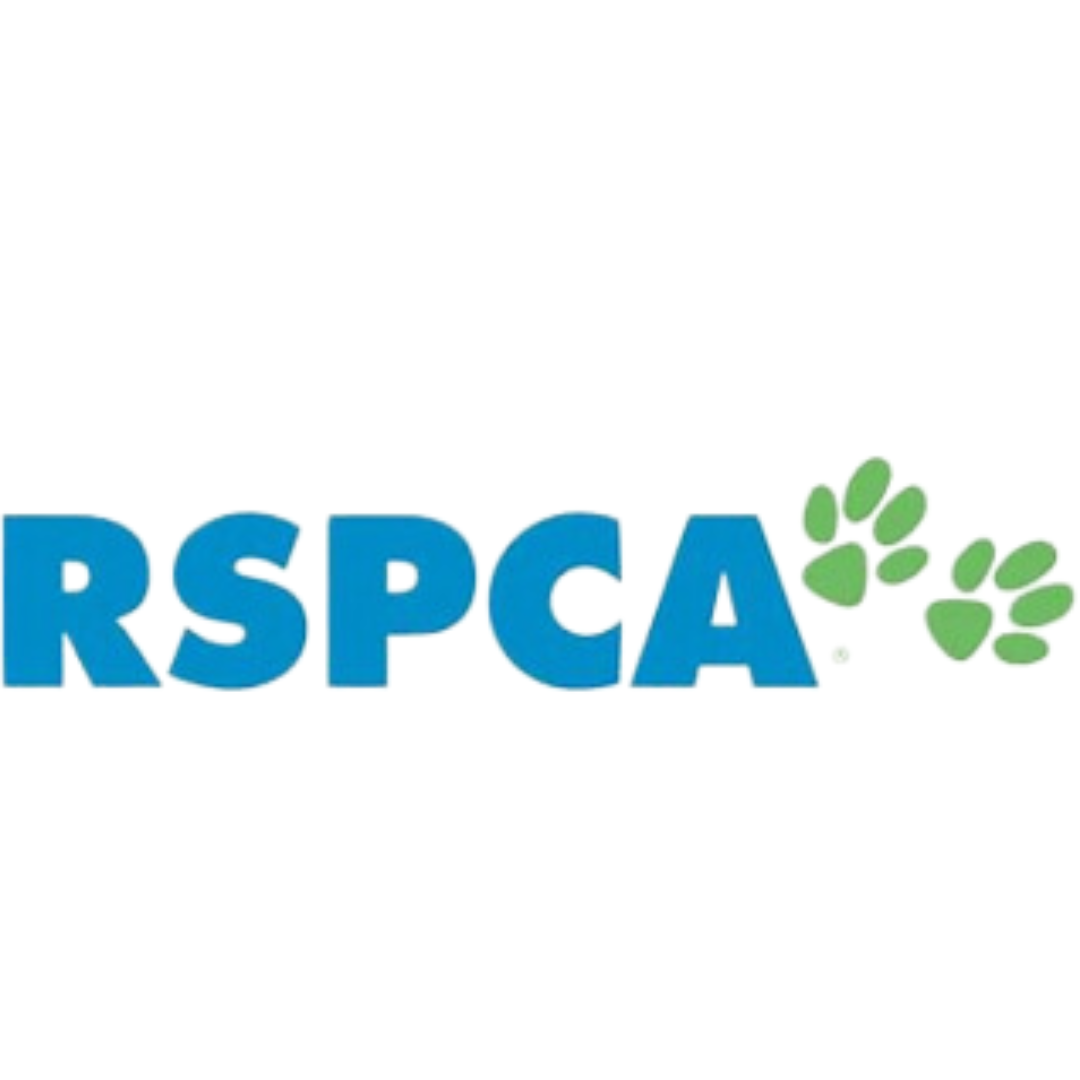 Collections – Nug & Co