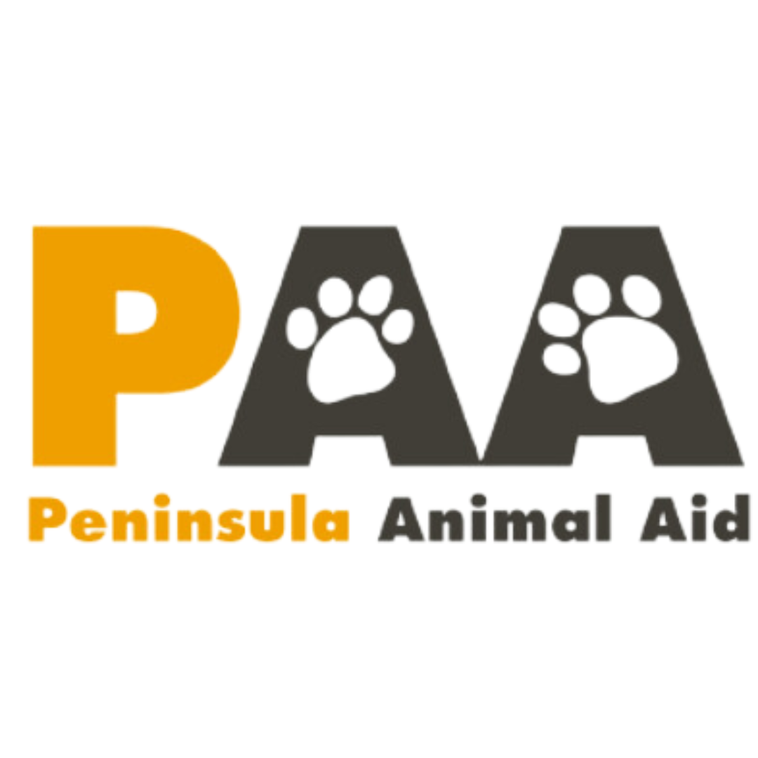 Collections – Nug & Co