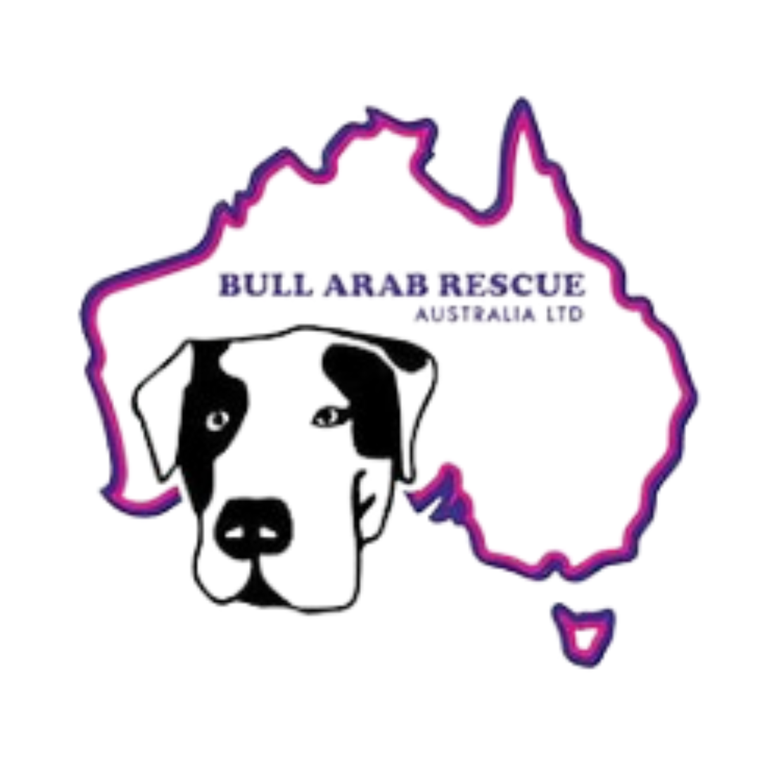 Collections – Nug & Co